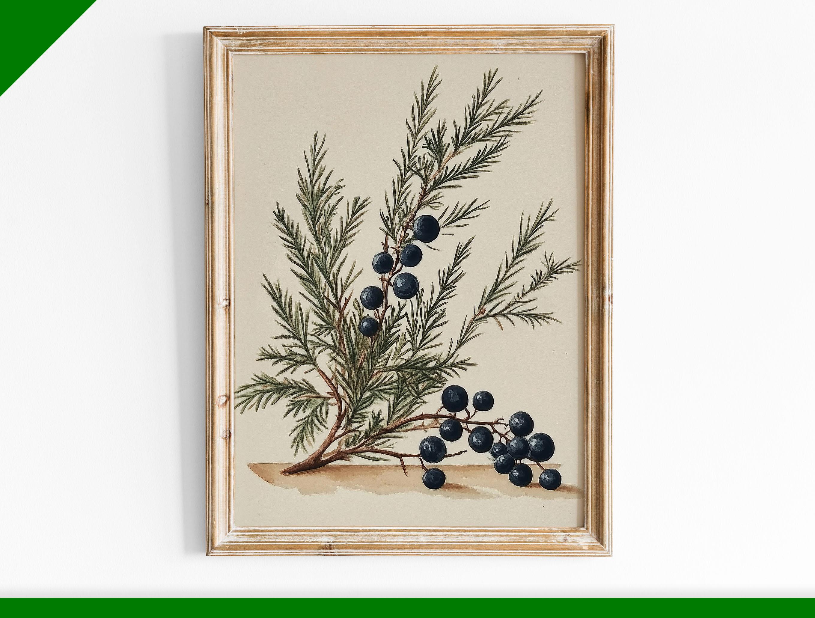 Juniper Twig Winter Wall Art, Juniper Branch Vintage Winter PRINTABLE ...