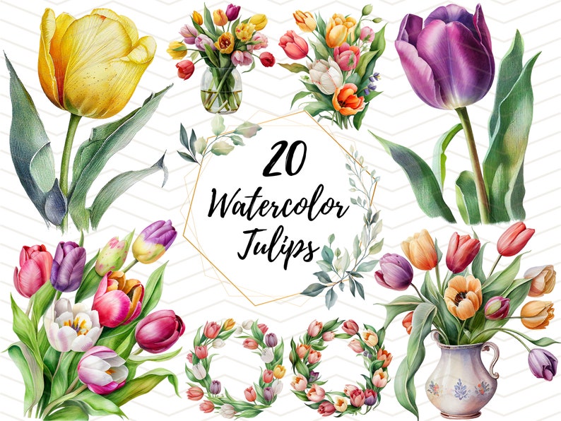 Floral Clipart - Tulips Clipart Bundle - Watercolor Flower Clipart ...
