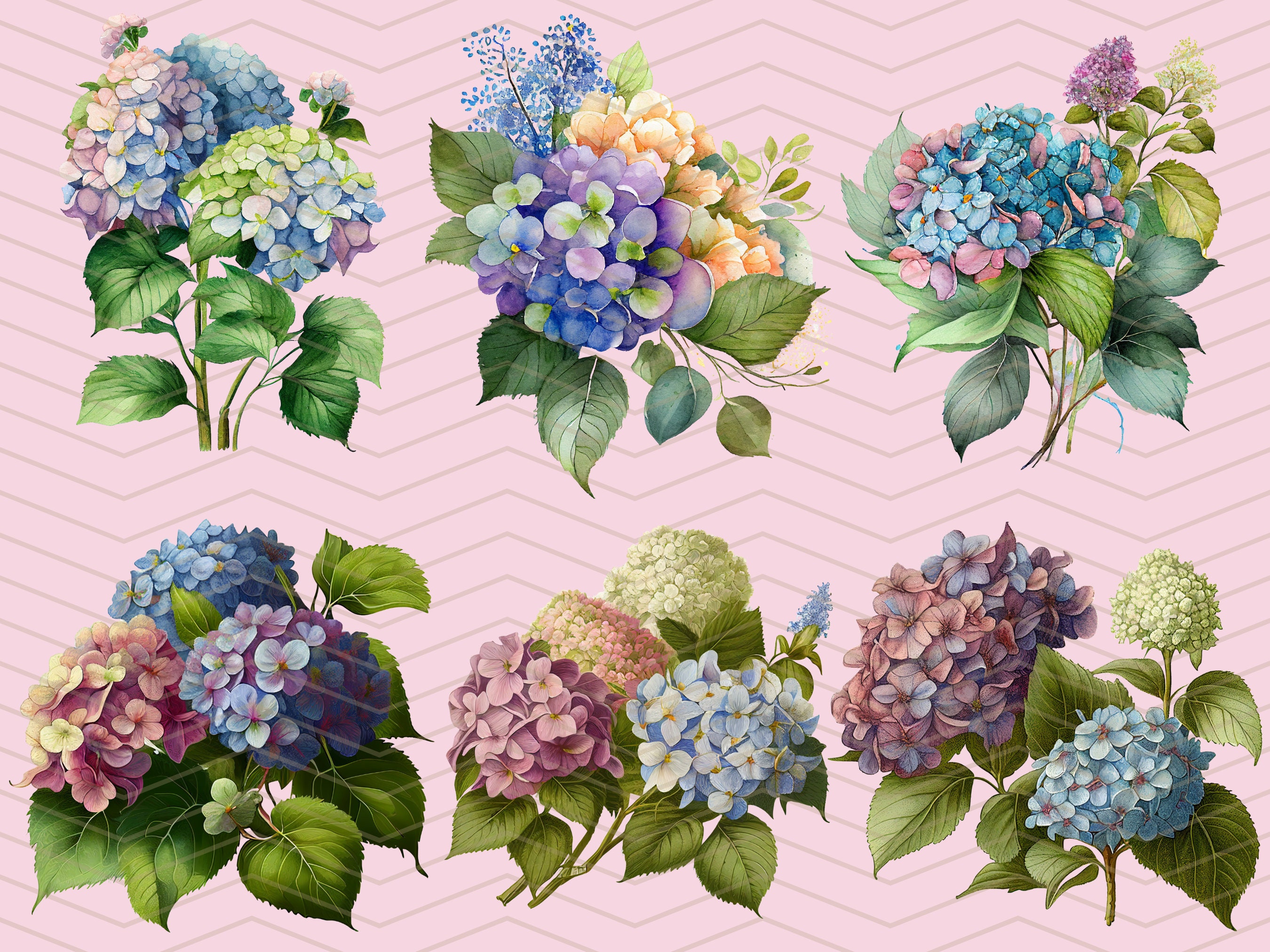 Floral Clipart - Hydrangeas Clipart Bundle - Watercolor Flower Clipart ...