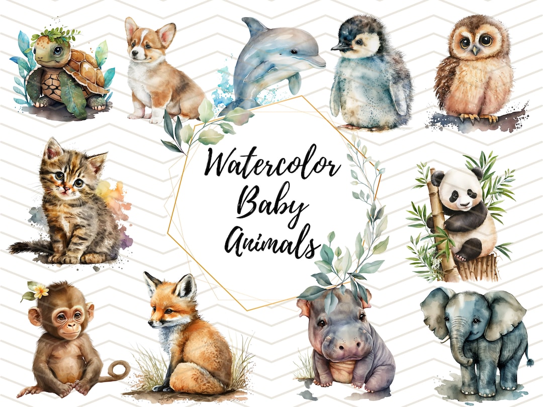 Baby Animals Watercolor Clipart - Cute Animal Clip Art - PNG for ...