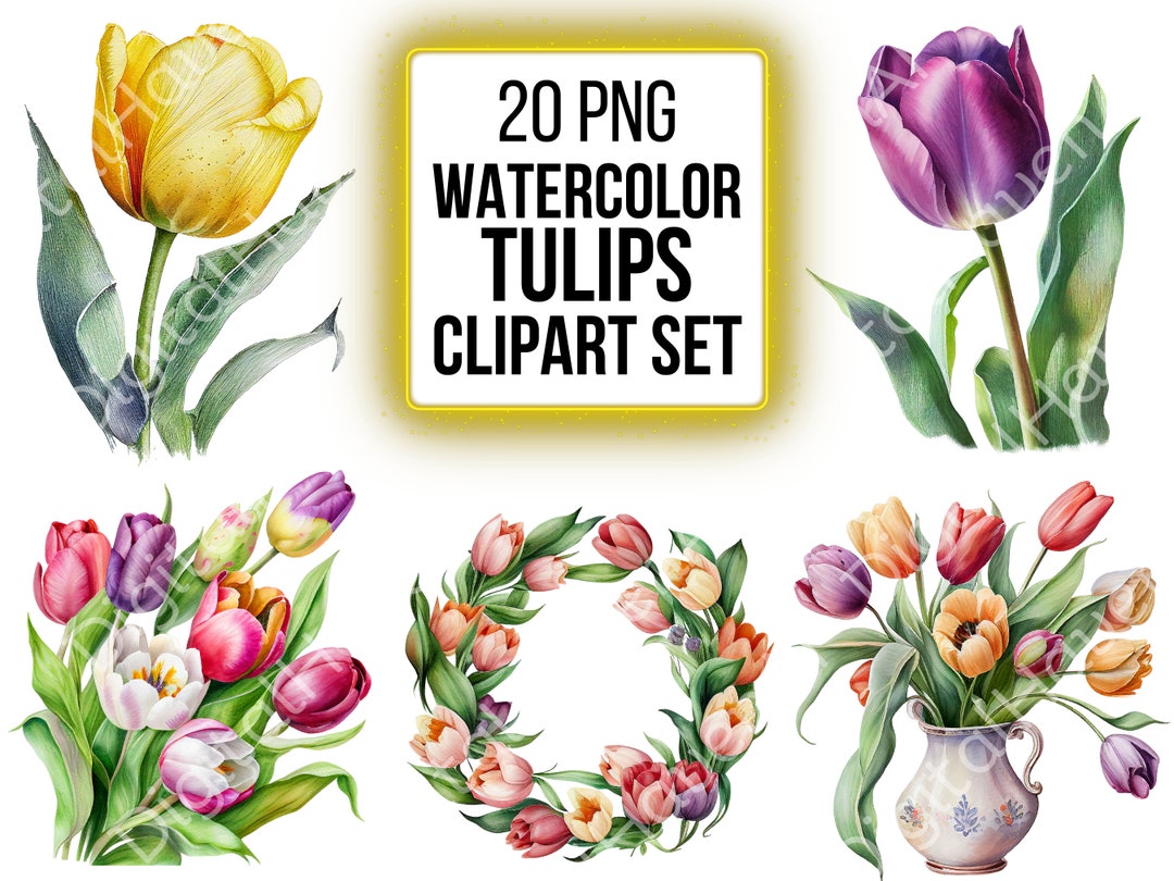 Clipart Tulip Floral PNG Watercolor Clip Art Bundle Flower Bouquet ...