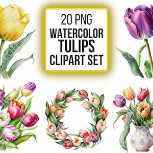 Clipart Tulip Floral PNG Watercolor Clip Art Bundle Flower Bouquet ...
