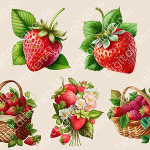Clipart Strawberry PNG Bundle Clip Art Fruit Watercolor Clipart Summer ...