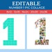 1st Number Collage Frame | 1 Collage Frame Canva Editable | 1st ...