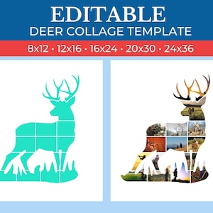 Picture Collage Deer Template | Gridart Canva | Image Collage | Pic ...