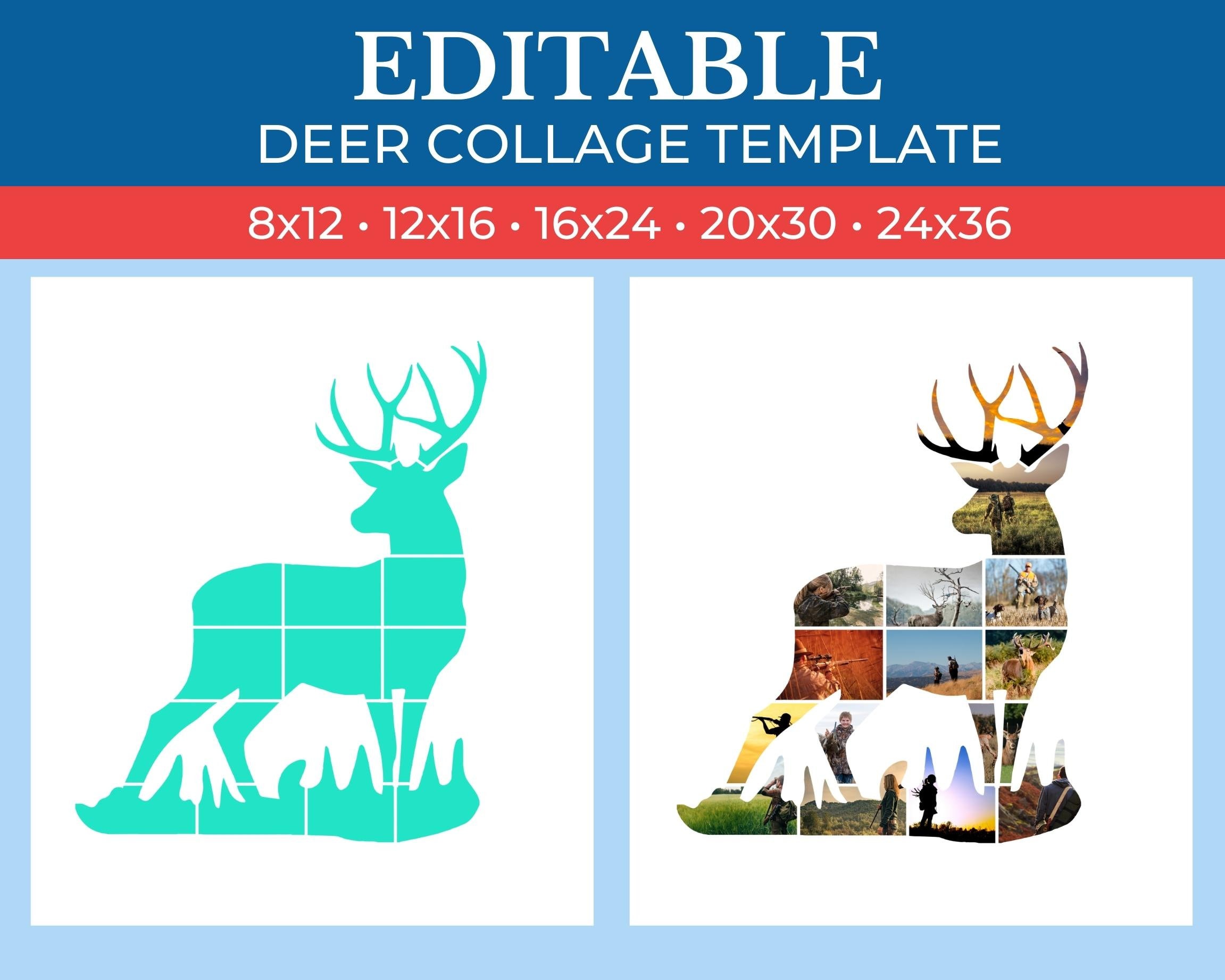 Picture Collage Deer Template Gridart Canva Image Collage Pic Stitch ...