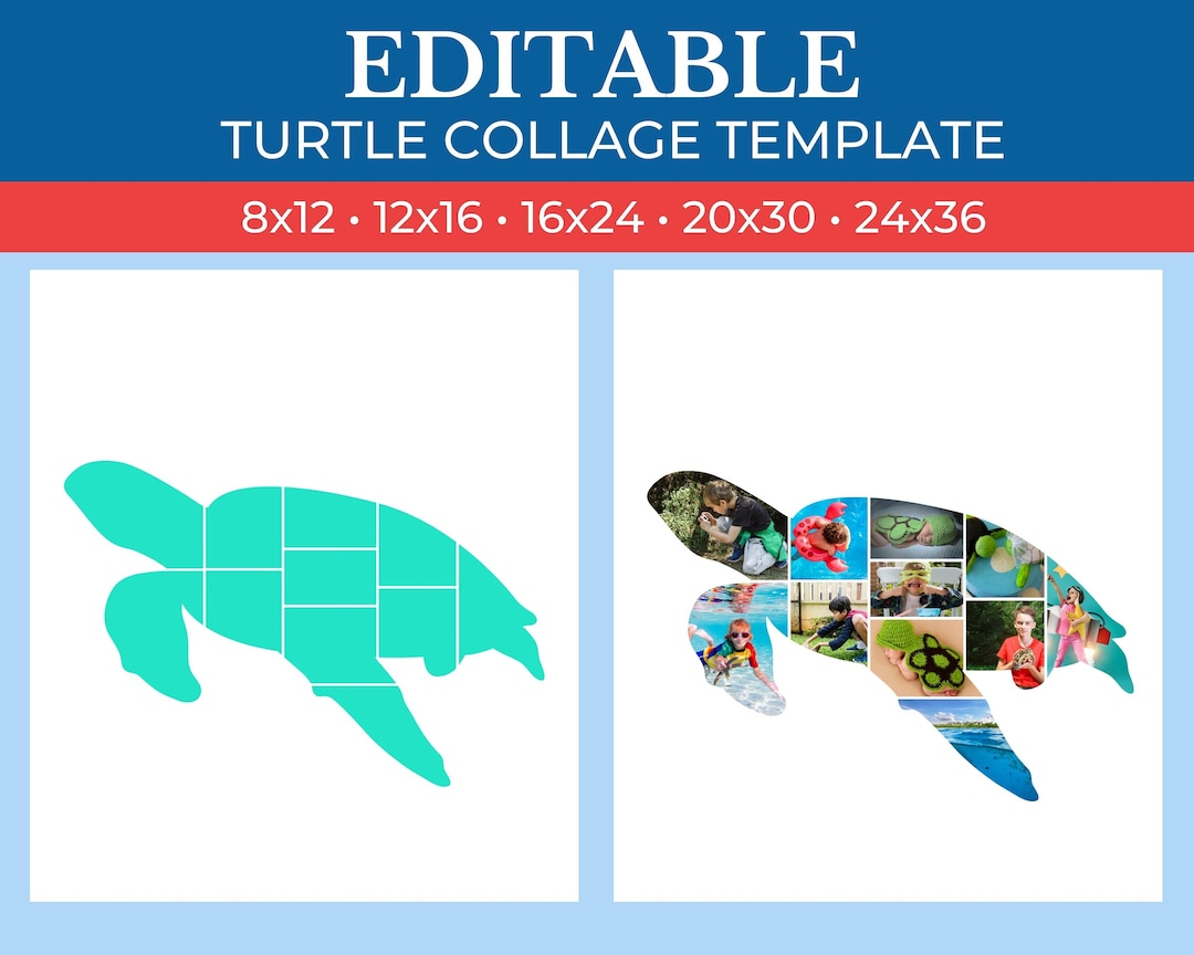 Picture Collage Turtle Template | Gridart Canva | Image Collage | Pic ...
