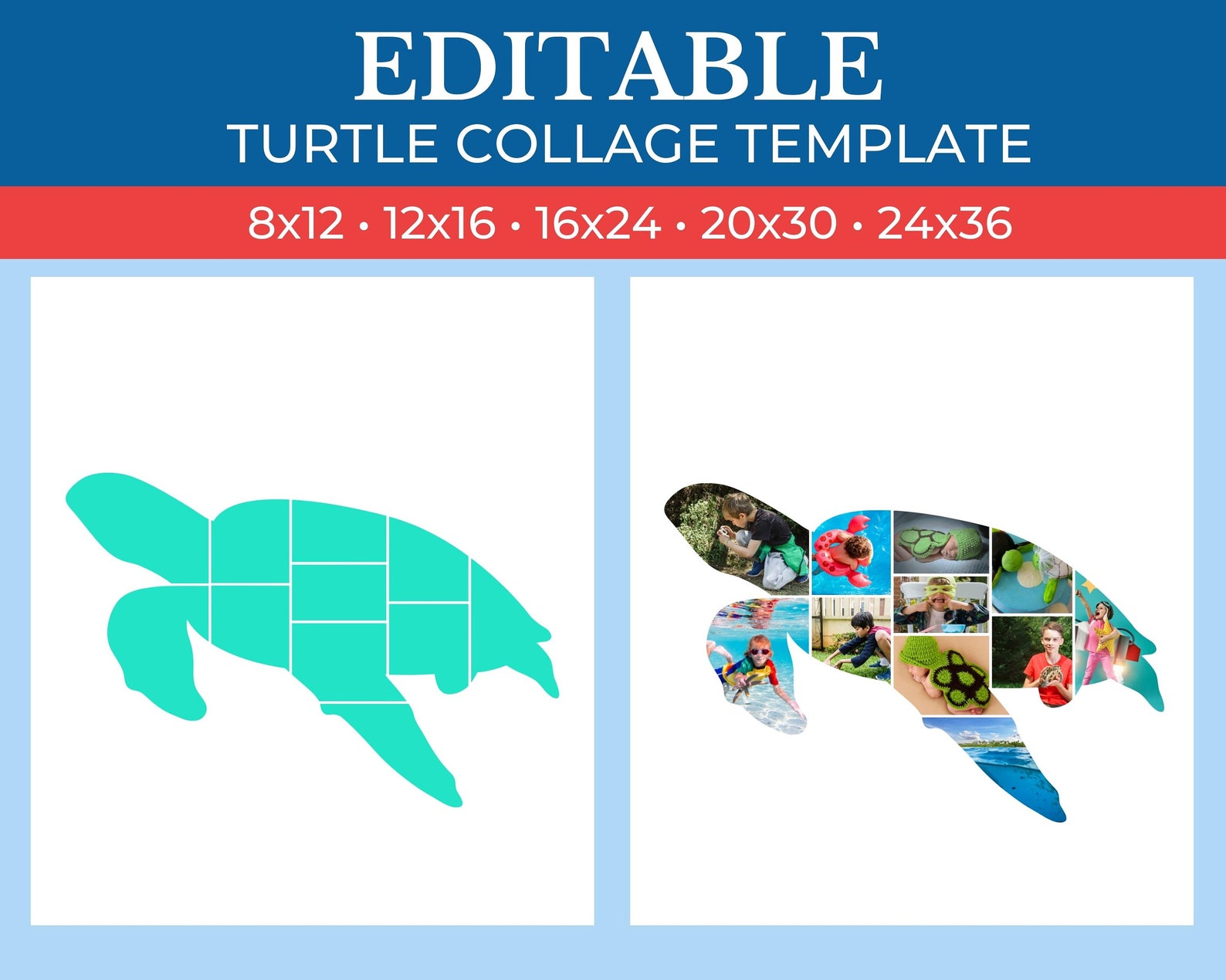 Picture Collage Turtle Template Gridart Canva Image Collage Pic Stitch ...