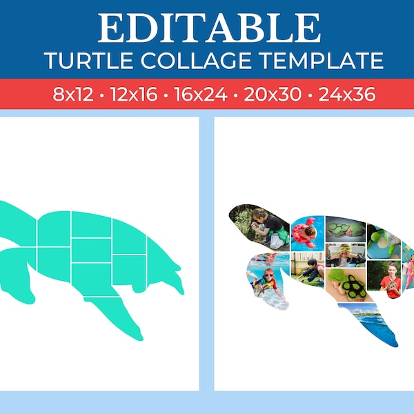 Turtle Picture Frame - Etsy