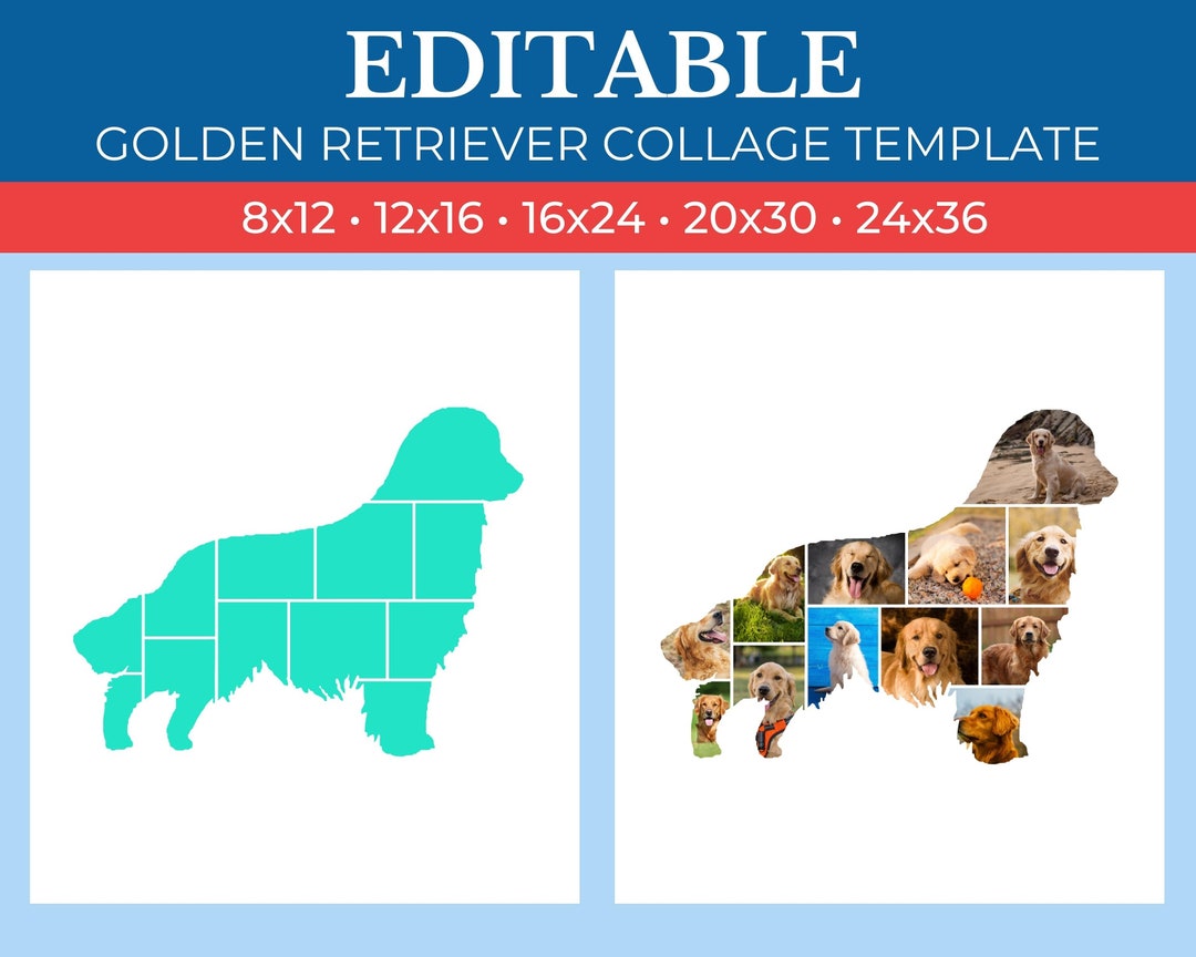 Dog Picture Collage Golden Retriever Template | Gridart Canva | Image ...