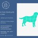 PRINTABLE Labrador Gift Collage Template | Editable Collage for ...