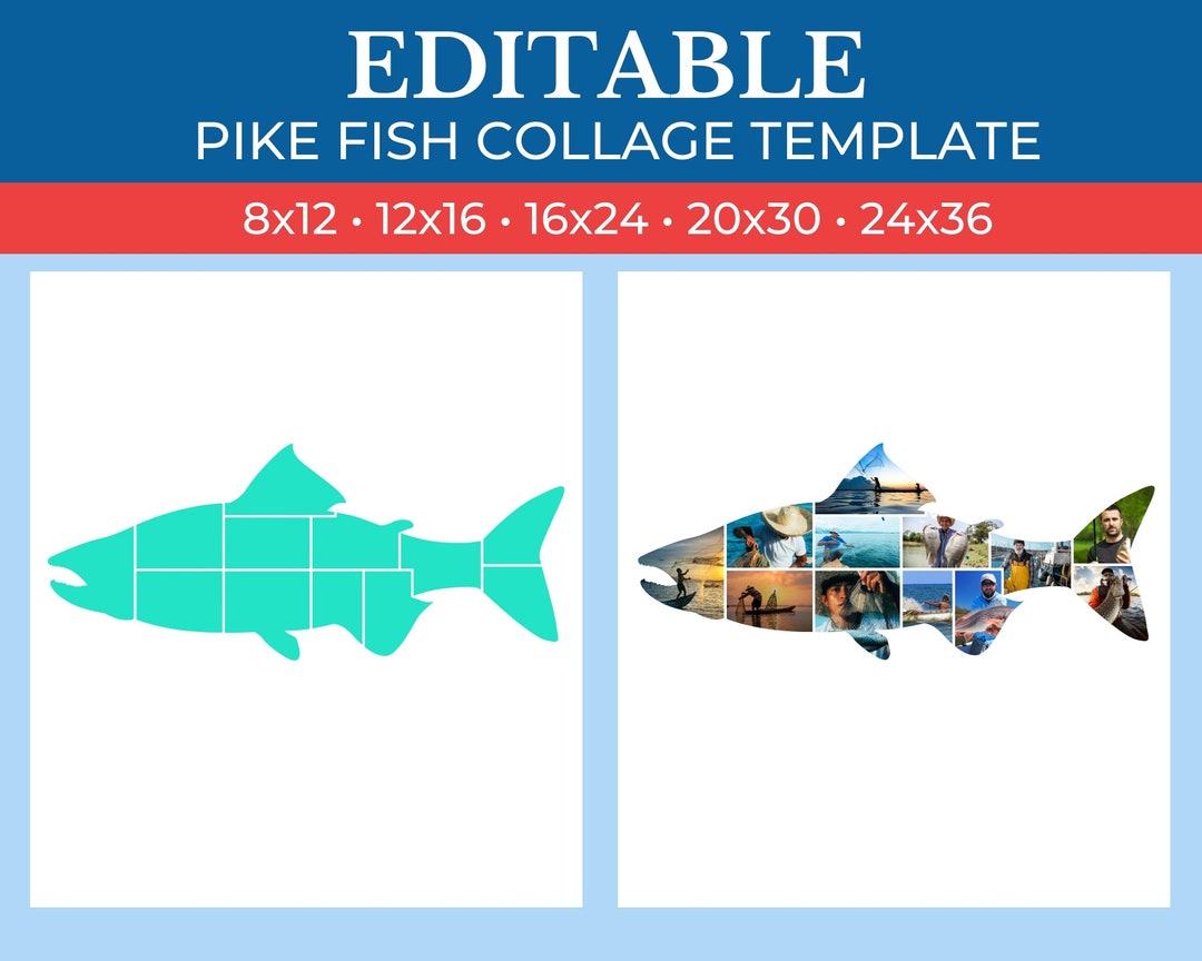 Picture Collage Fishing Pike Fish Template | Gridart | Image Collage ...
