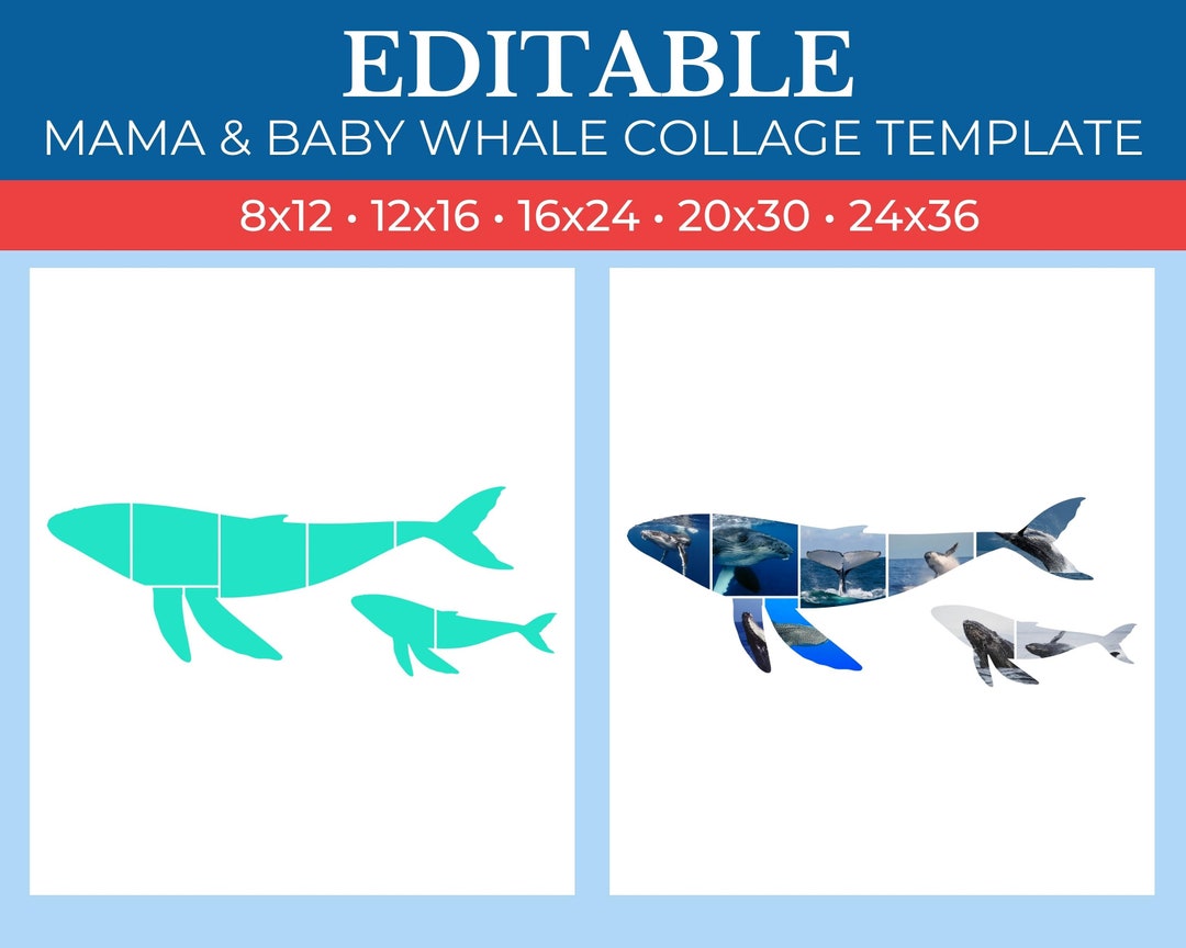 Picture Collage Whale Template | Gridart Canva | Image Collage | Pic ...