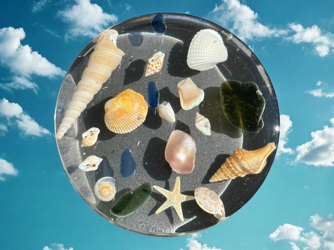 Natural Seashell Coasters for Beach Decor. Handmade With Shells From ...
