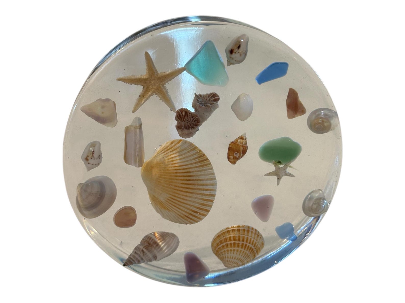 Natural Seashell Coasters for Beach Decor. Handmade With Shells From ...