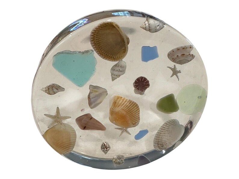 Natural Seashell Coasters for Beach Decor. Handmade With Shells From ...