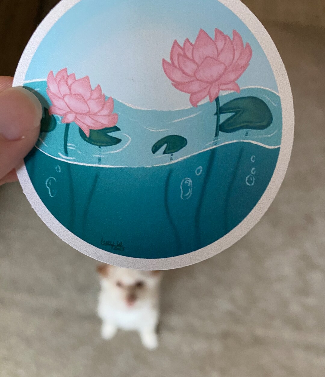 Water Lily Sticker - Etsy