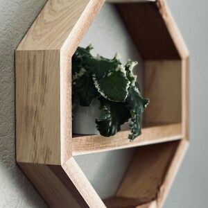 Octagon Shelf (with Removable Shelf) - Etsy