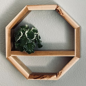 Octagon Shelf (with Removable Shelf) - Etsy