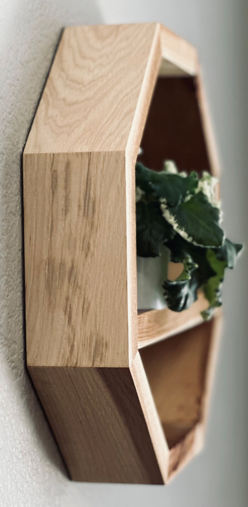 Octagon Shelf (with Removable Shelf) - Etsy