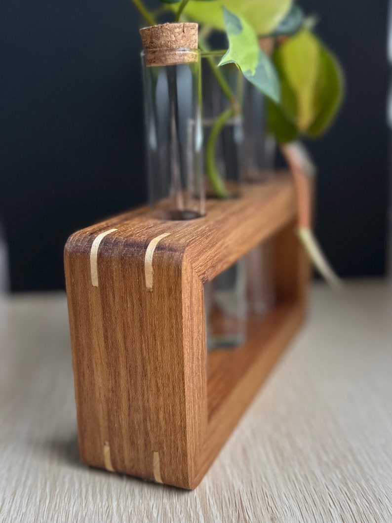 Propagation Stand (glass Test Tubes Included) - Etsy