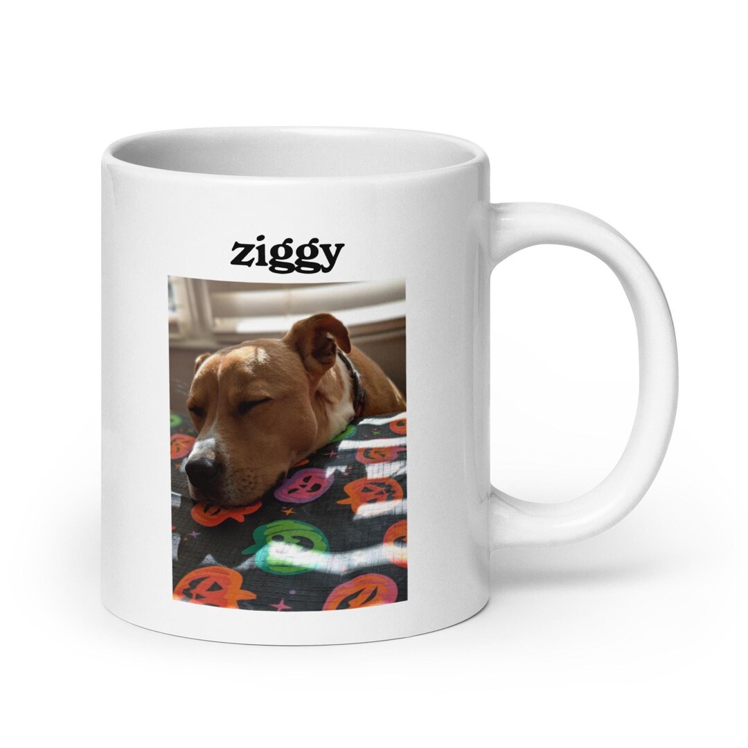 Personalized Pet Mug, Choose Your Photo and Caption, Made to Order - Etsy