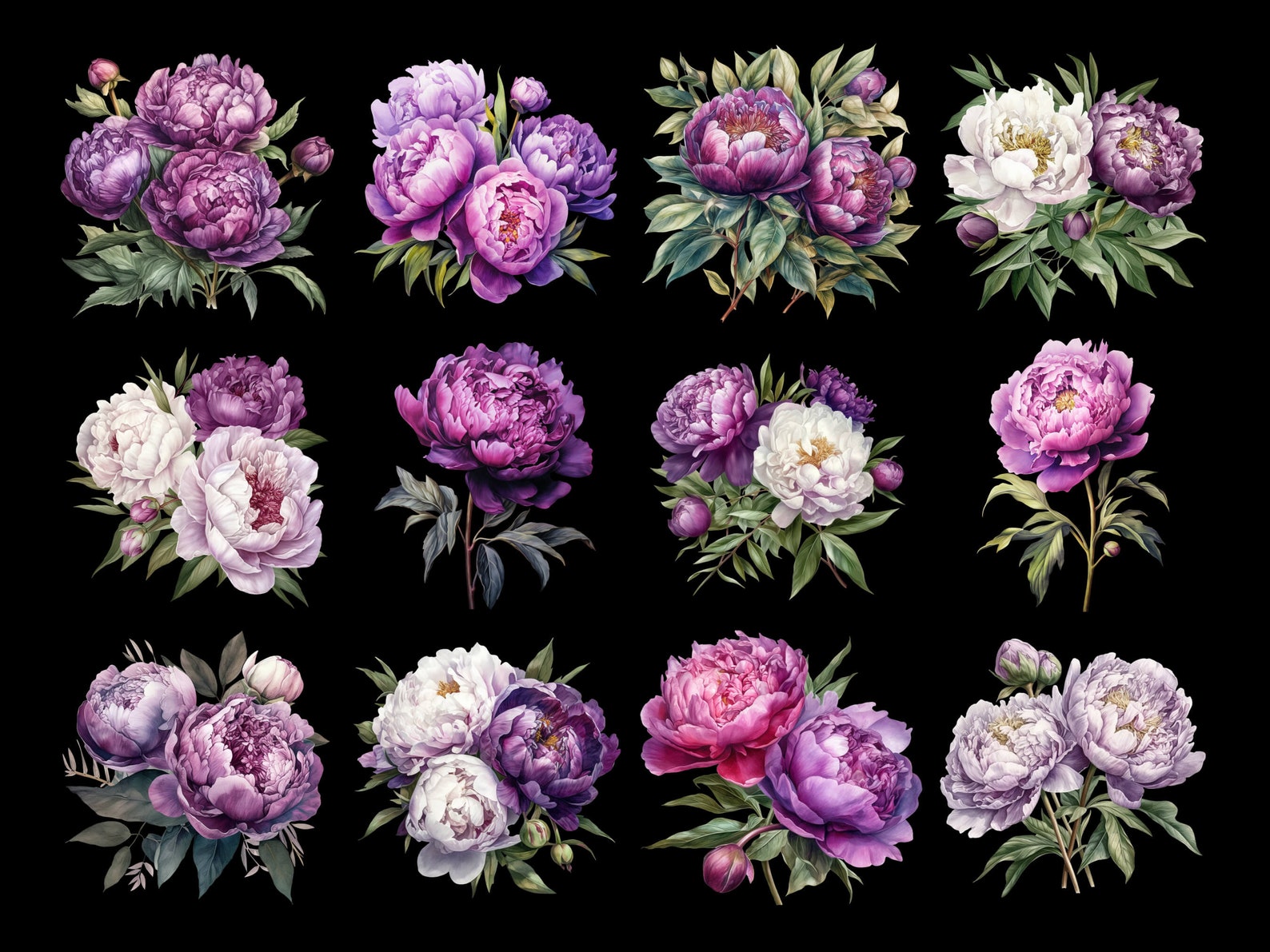 Watercolor Purple Peony Clipart, Peonies PNG, Purple Flower Clip Art ...