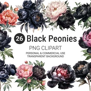 Watercolor Black Peony Clipart, Peonies PNG, Black Flower Clip Art for ...