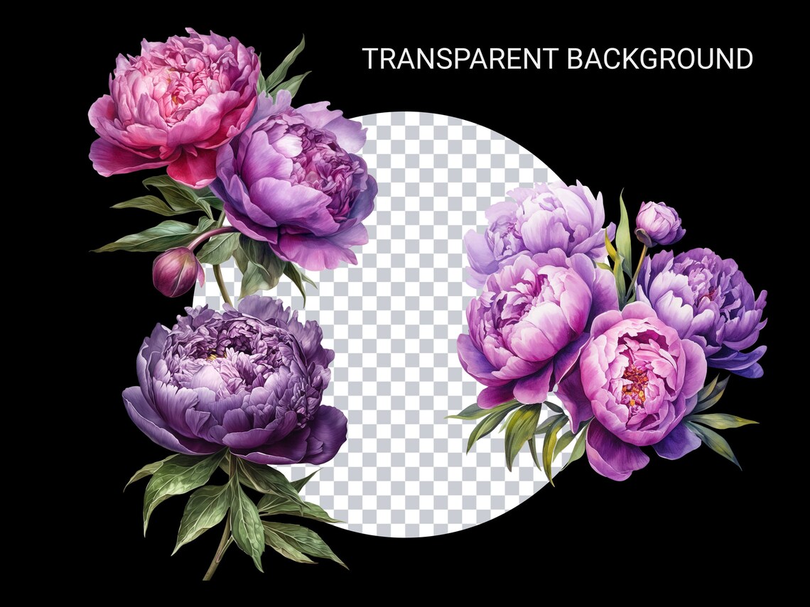 Watercolor Purple Peony Clipart, Peonies PNG, Purple Flower Clip Art ...