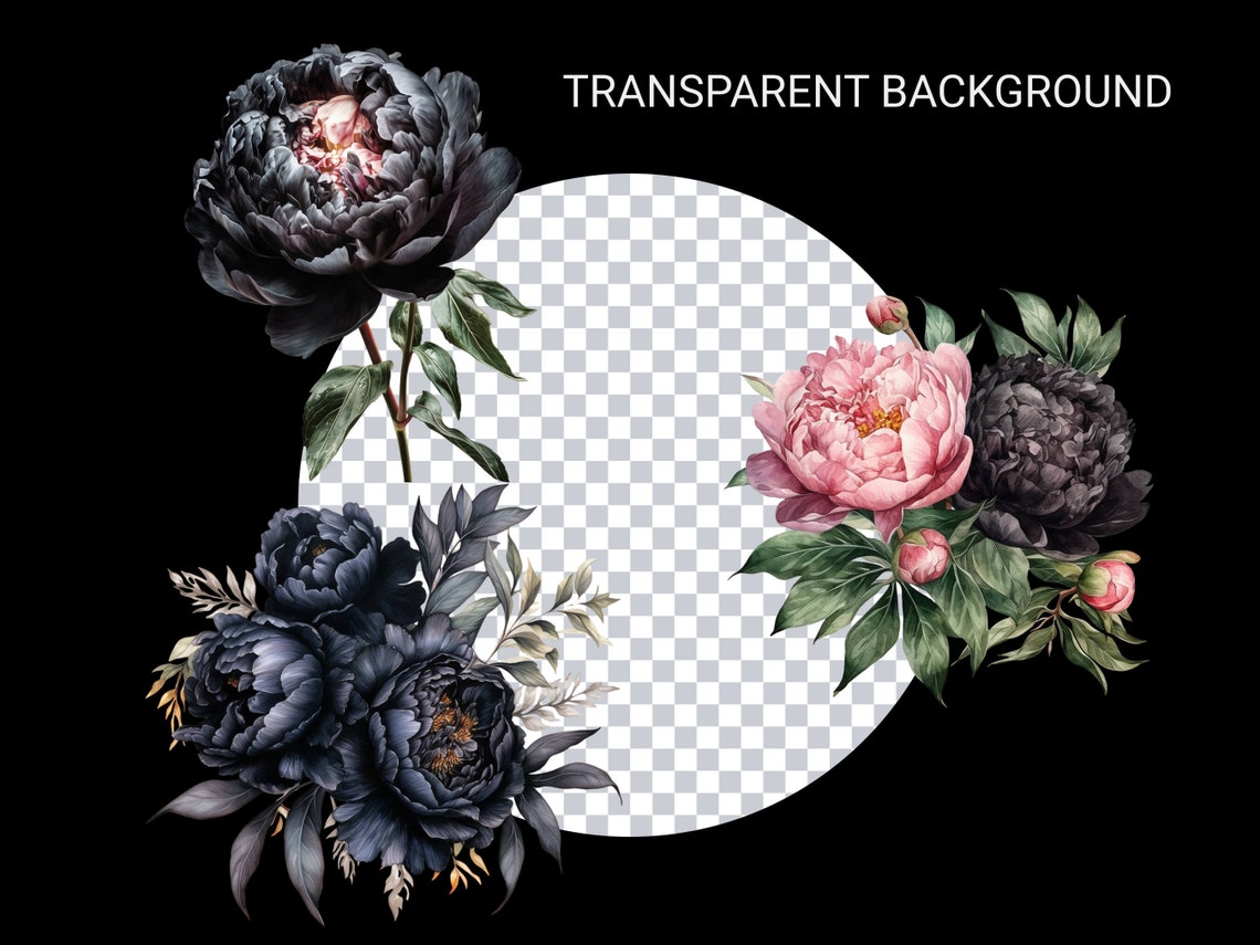 Watercolor Black Peony Clipart, Peonies PNG, Black Flower Clip Art for ...
