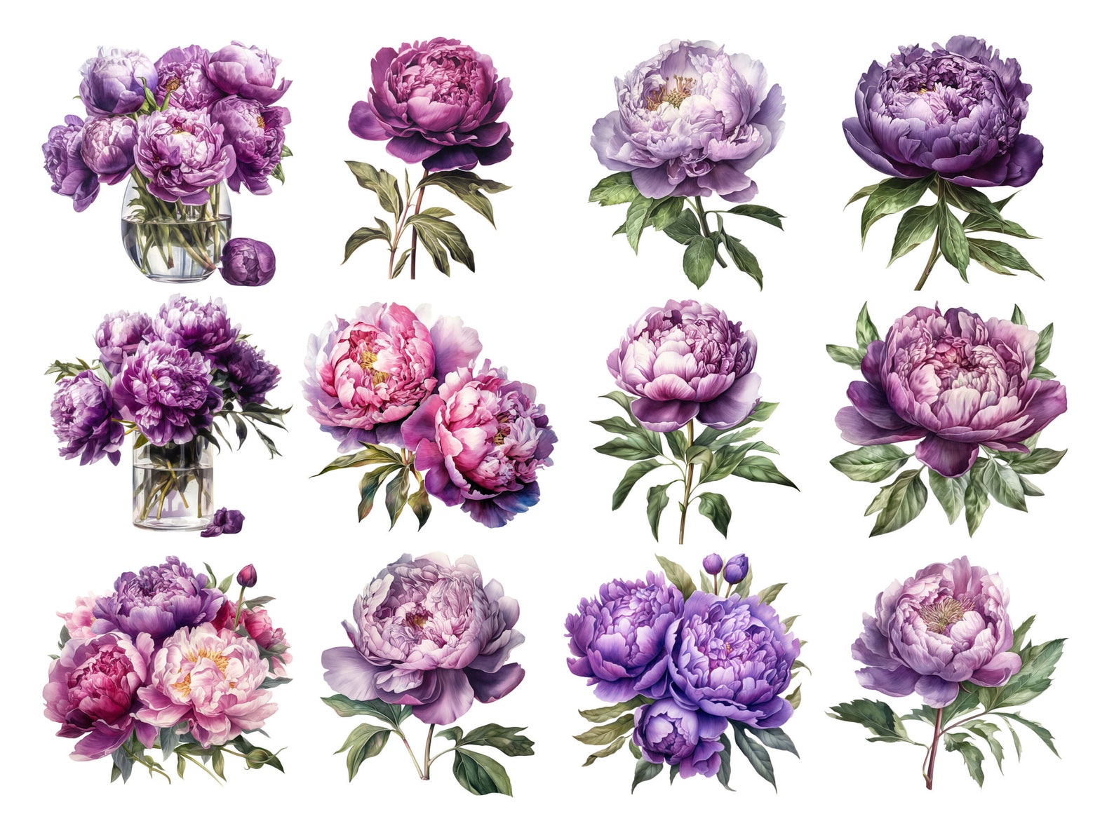 Watercolor Purple Peony Clipart, Peonies PNG, Purple Flower Clip Art ...