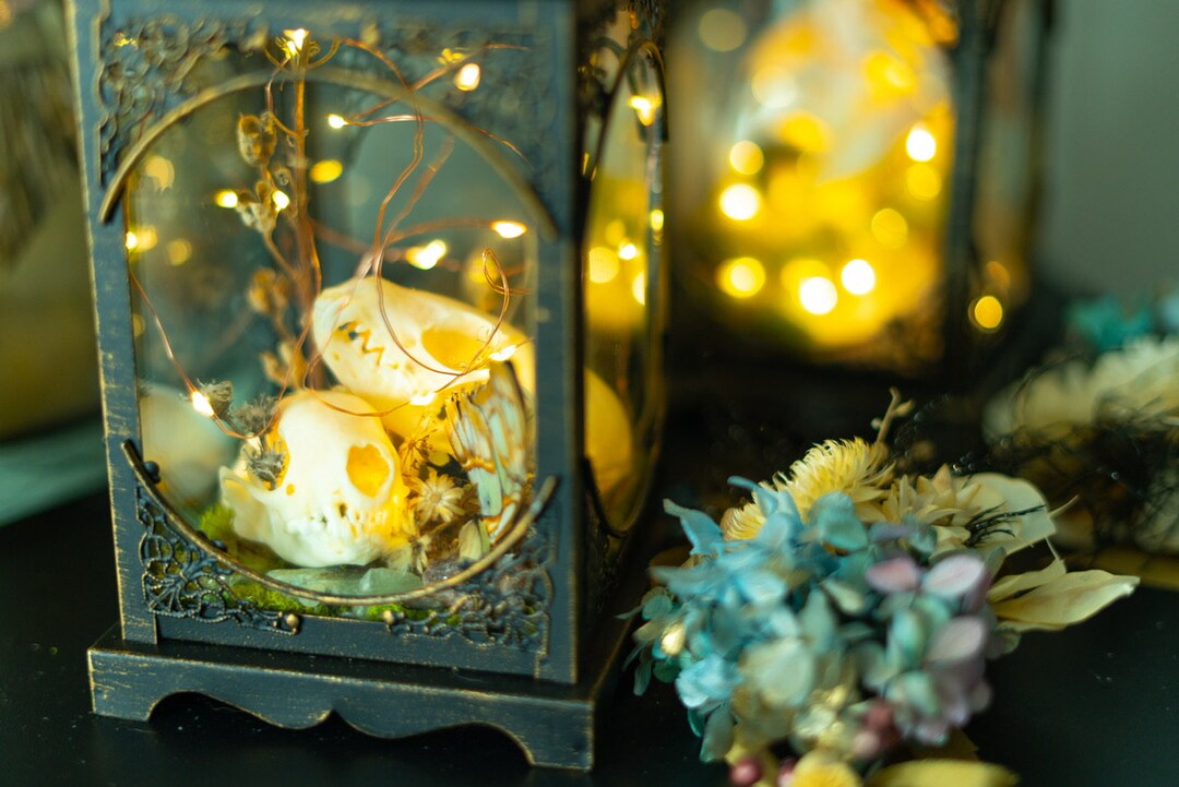 Custom Oddity Decor - Etsy