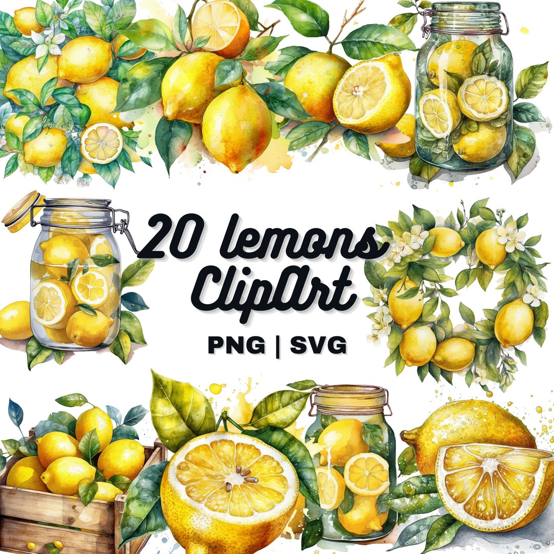 Lemon Watercolor Clipart, Hand Painted Lemon Art, Digital Fruit ...