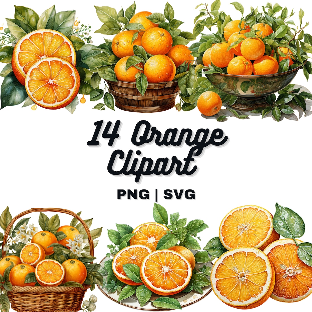 Orange Watercolour Clipart Bundle, PNG and SVG Files, Digital Graphics ...