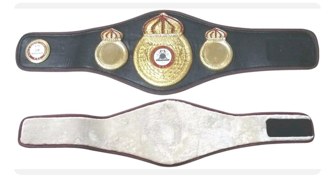 WBA World Boxing Champion Belt Adult Full Size 3D Design Boxing Council ...