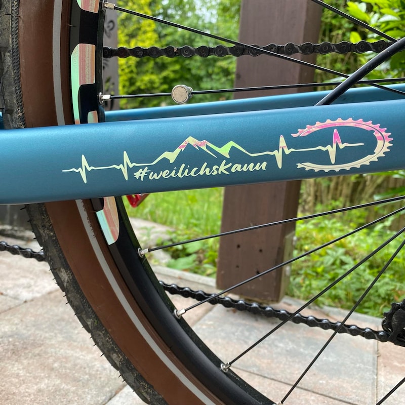 E Bike Stickers - Etsy