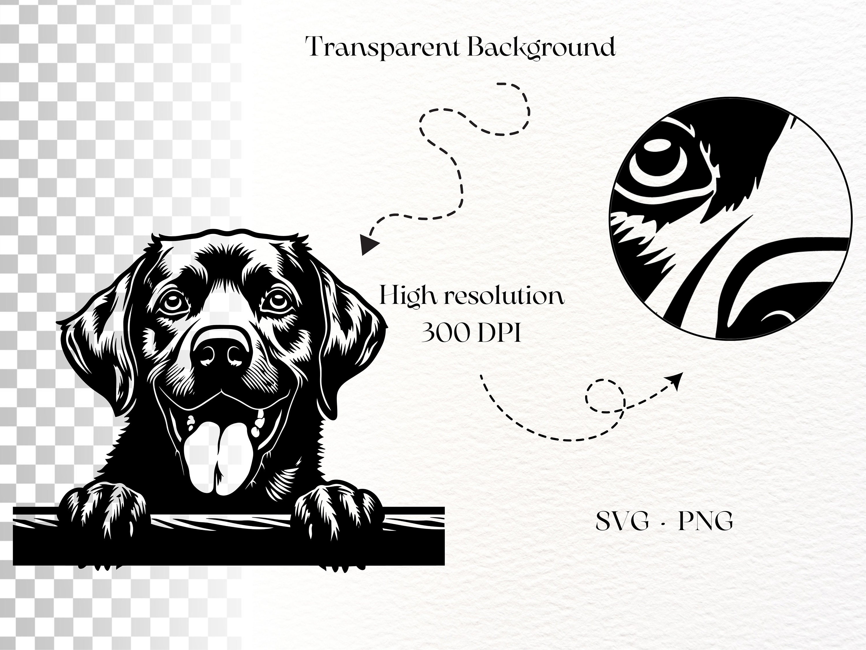 Peeking Lab Svg / Labrador Peeking / Labrador Retriever Svg / Labrador ...