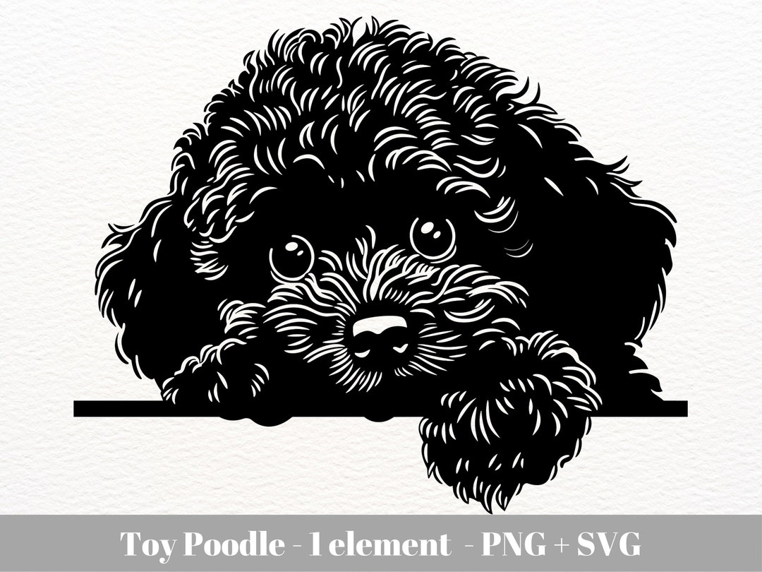 Toy Poodle Svg / Poodle Peeking SVG / Dog Breed Png / POODLE SVG Cut ...