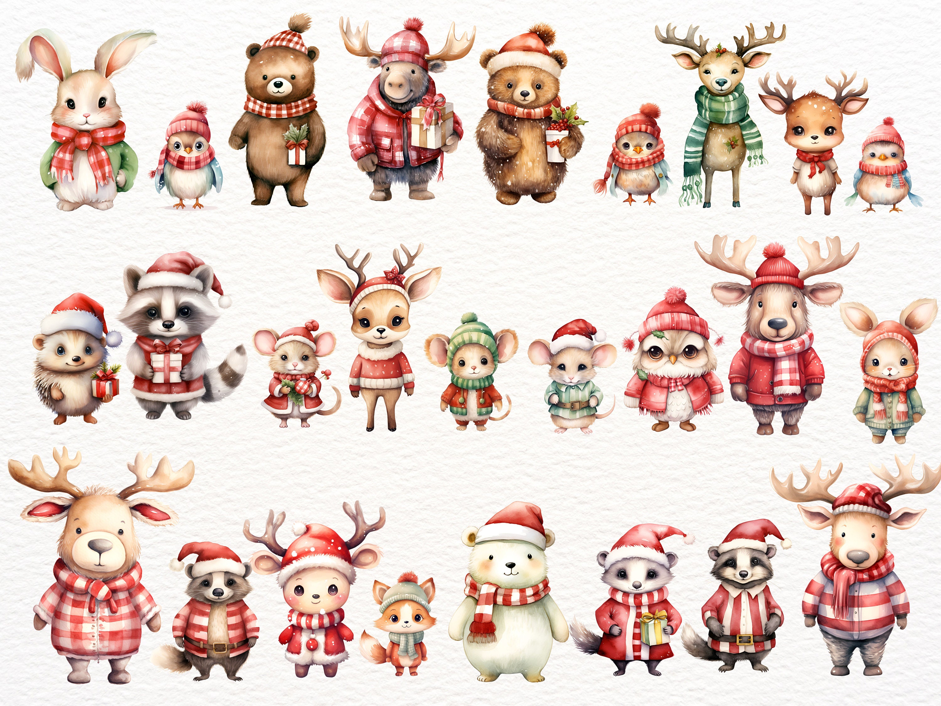 Christmas Woodland Animals Clipart / Christmas Illustration Digital ...