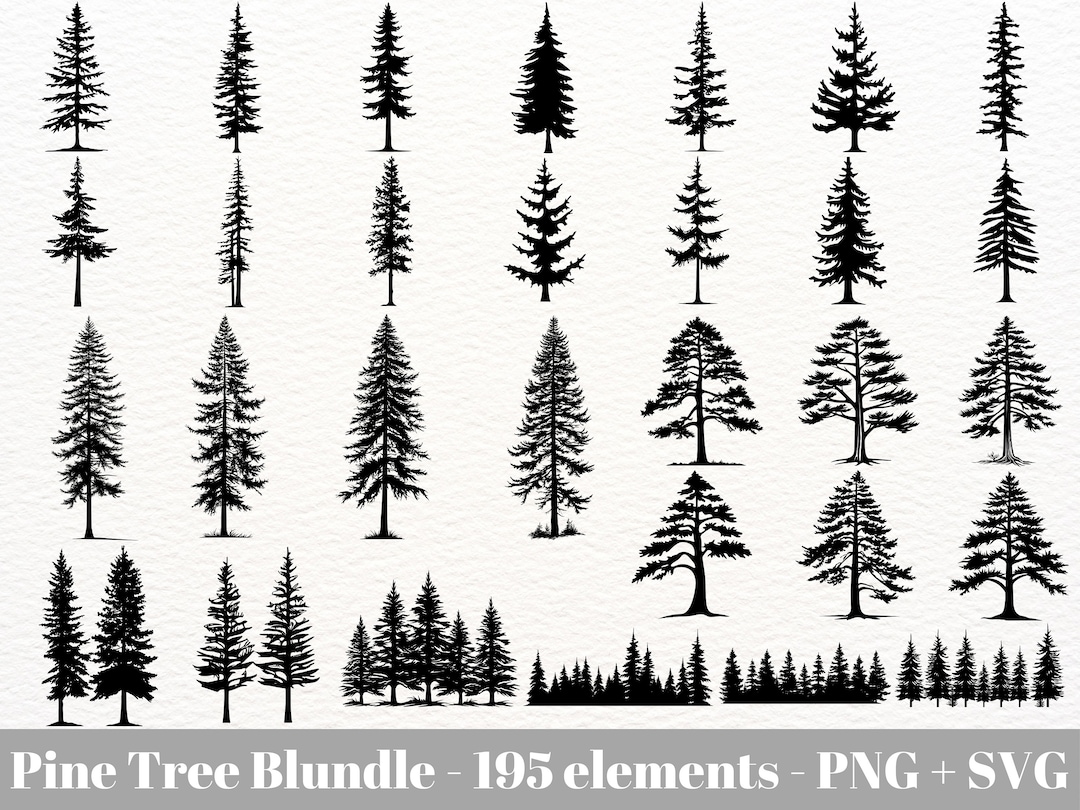 Evergreen Trees Svg / Pine Tree Svg File / Fir Tree Stencil / Forest ...