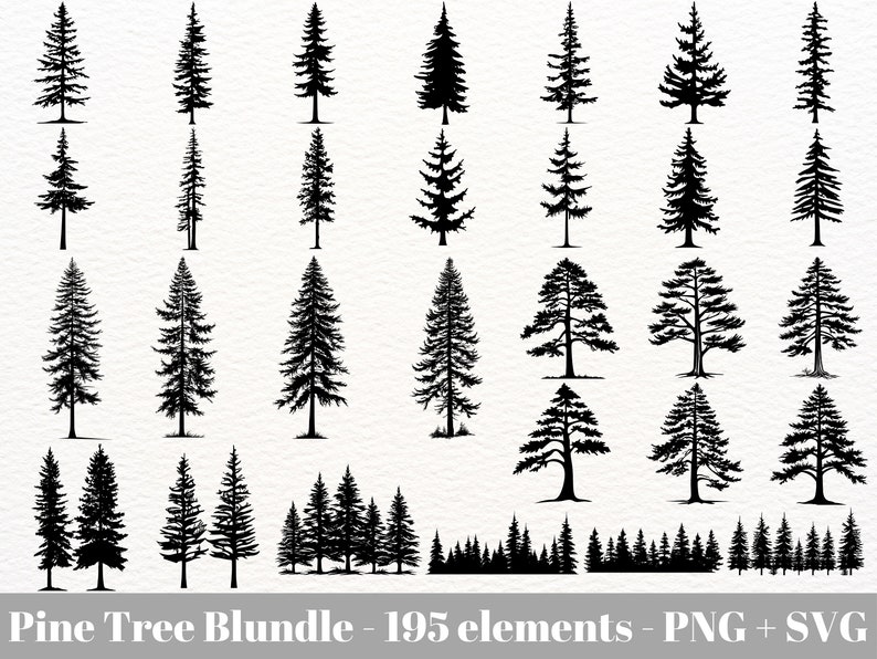 Evergreen Trees Svg / Pine Tree Svg File / Fir Tree Stencil / Forest ...