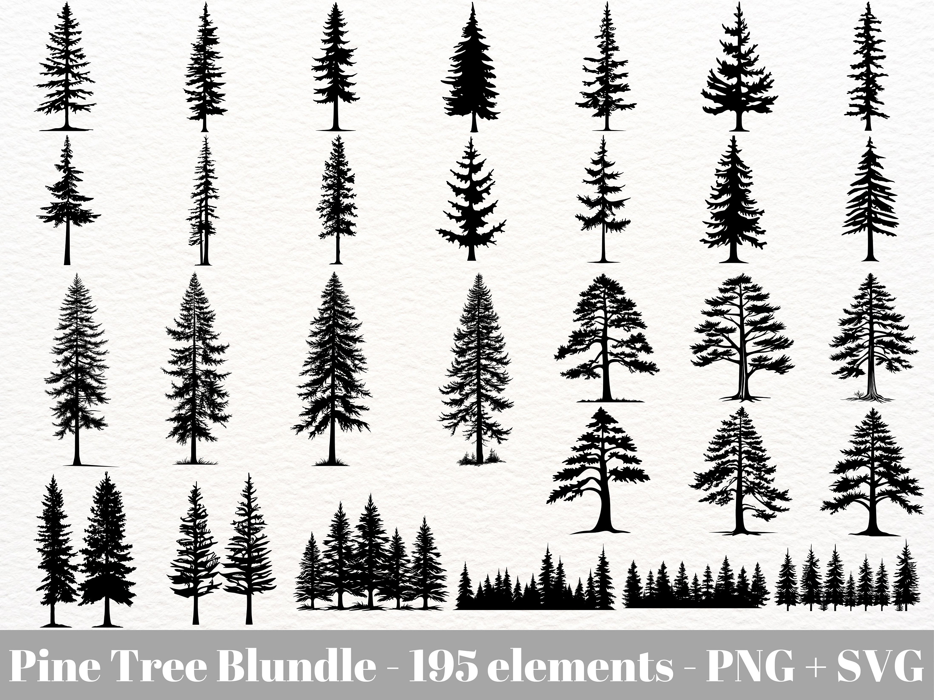 Evergreen Trees Svg / Pine Tree Svg File / Fir Tree Stencil / Forest ...