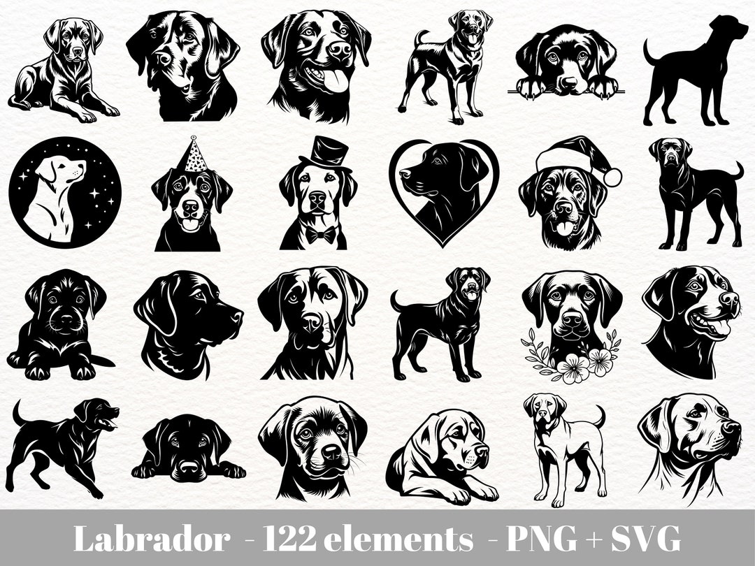 Labrador Retriever Svg / Peeking Labrador / Labrador Svg Cut File / Dog ...