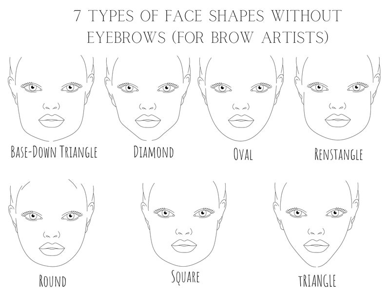 Face Chart / Face Shape / Makeup Face Shapes / Face Shape Svg / Lash ...