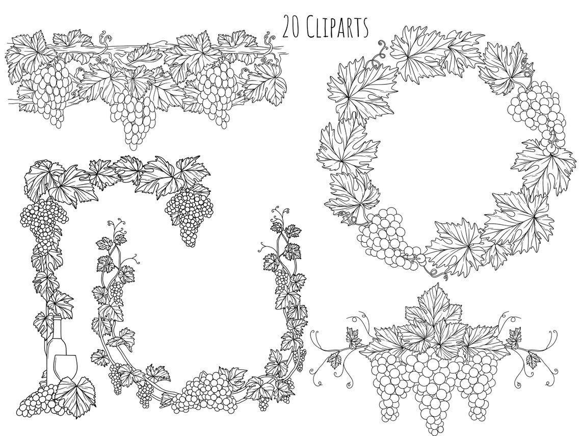 Grapevine SVG for Commercial Use / Grapes and Vine SVG / Wine SVG ...