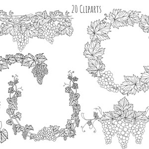Grapevine SVG for Commercial Use / Grapes and Vine SVG / Wine SVG ...
