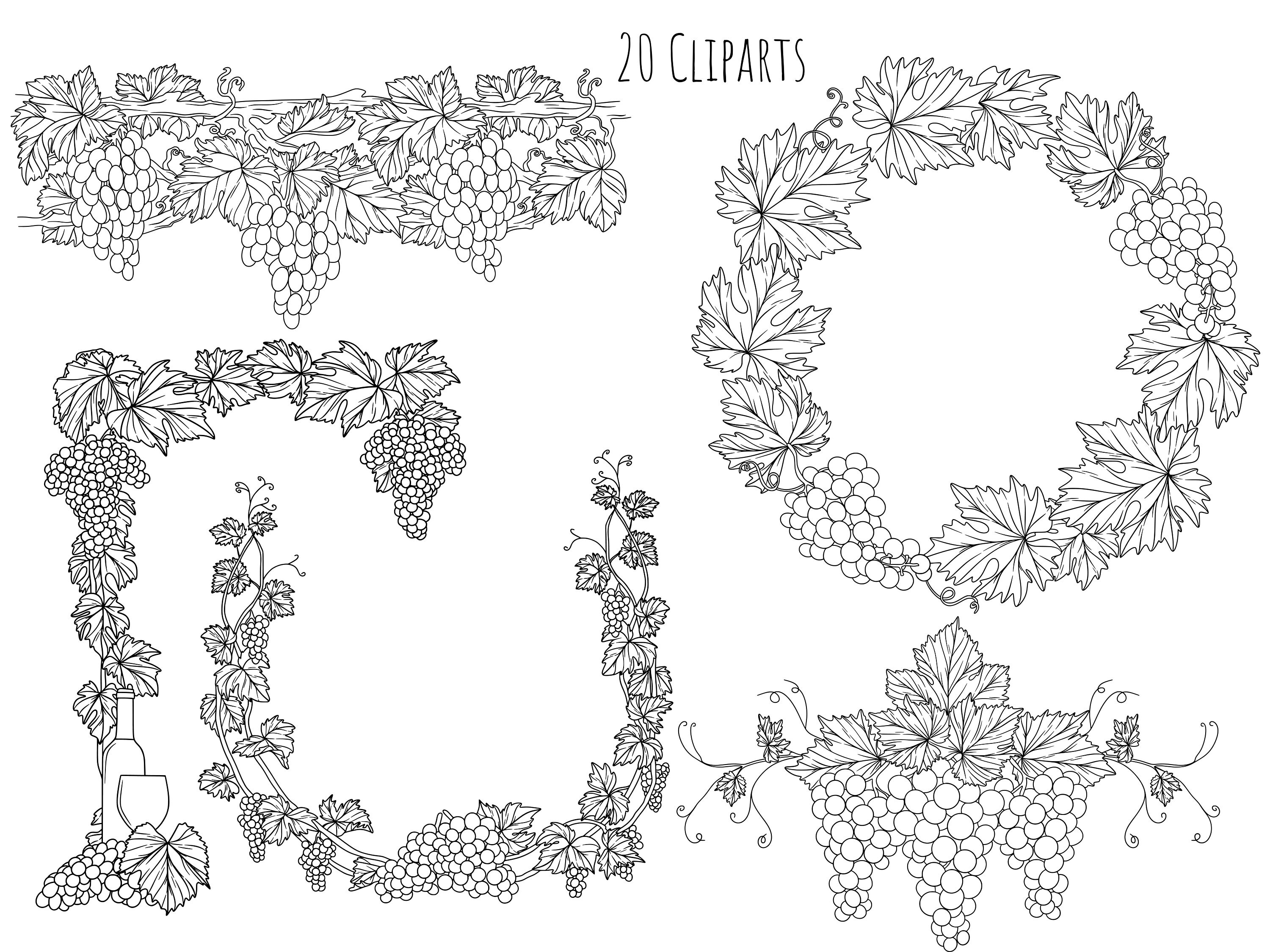 Grapevine SVG for Commercial Use / Grapes and Vine SVG / Wine - Etsy