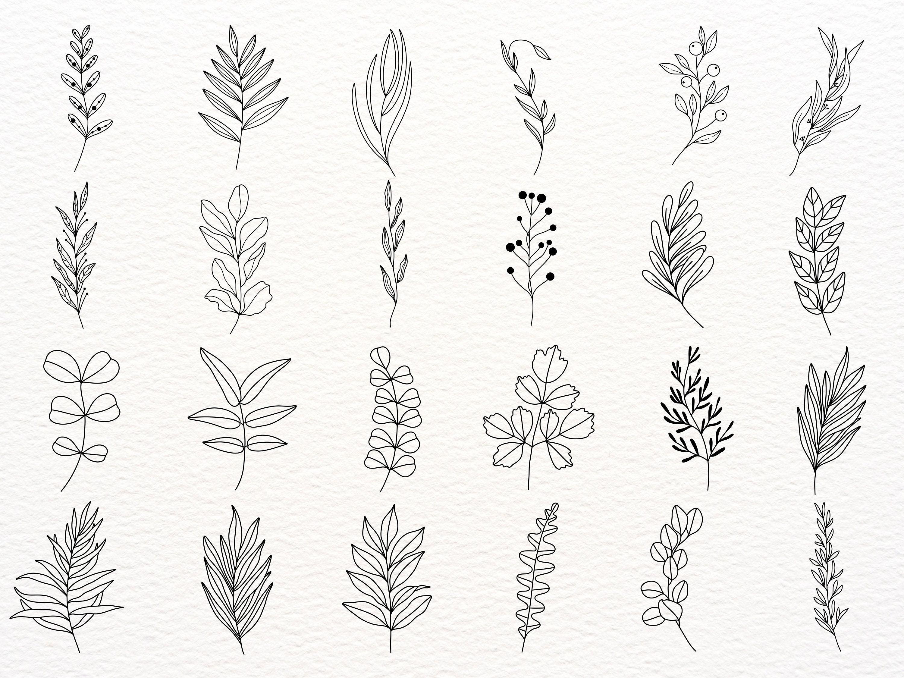 Greenery Line Art / Hand Drawn Leaf Svg / Leaves and Branches SVG ...