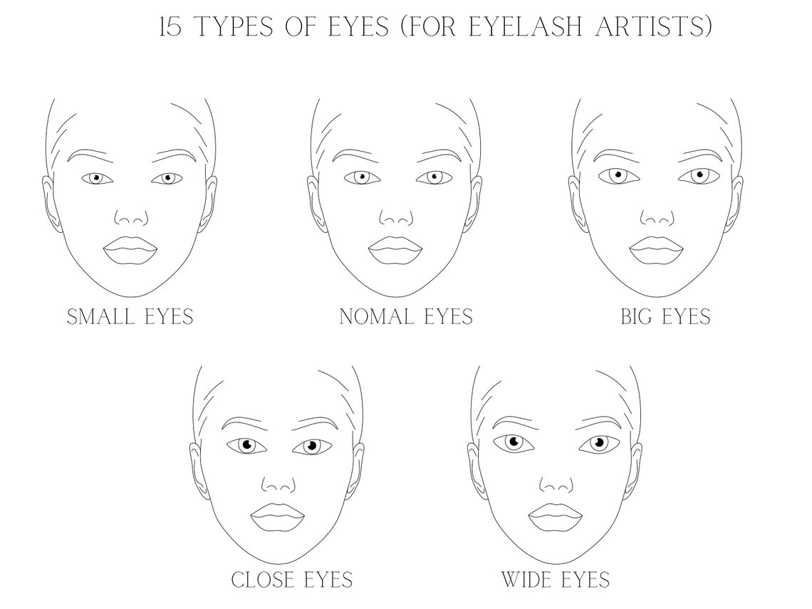 Face Chart / Face Shape / Makeup Face Shapes / Face Shape Svg / Lash ...