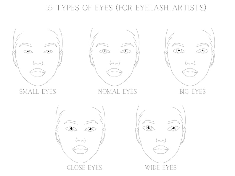 Face Chart Face Shape Makeup Face Shapes Face Shape Svg Etsy